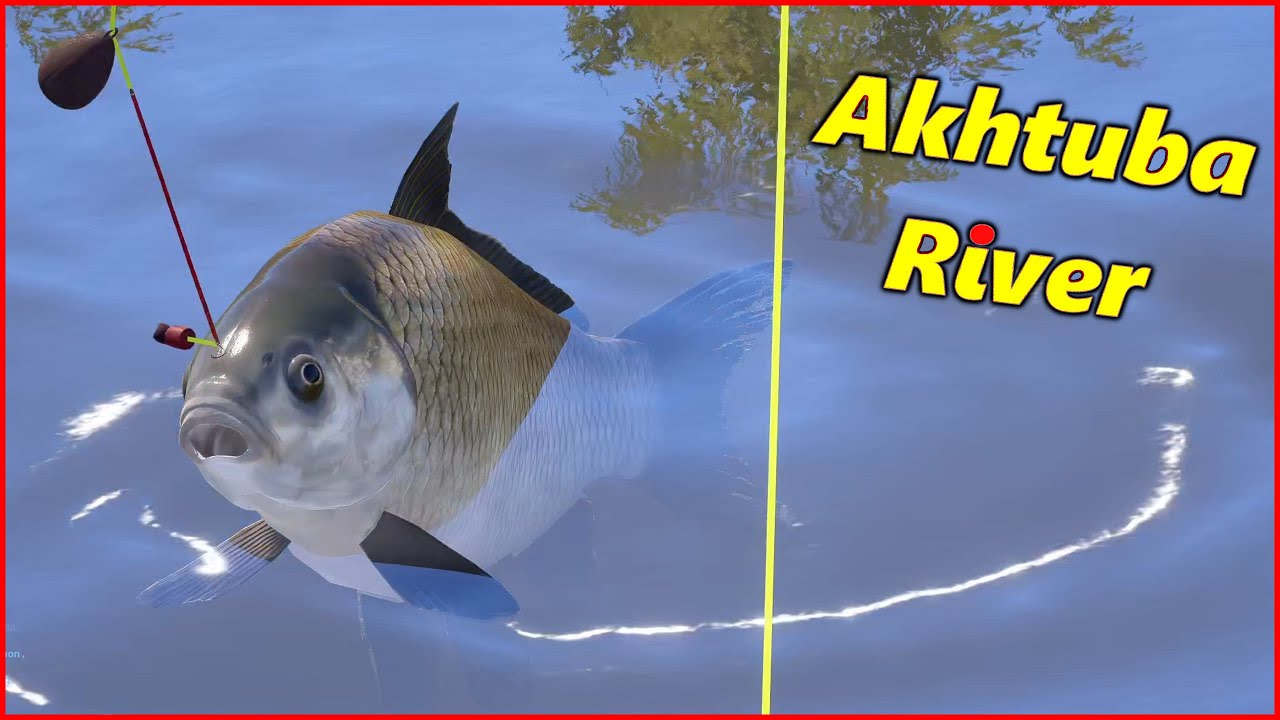 Buffalo new config Akhtuba River | Russian Fishing 4 - YouTube