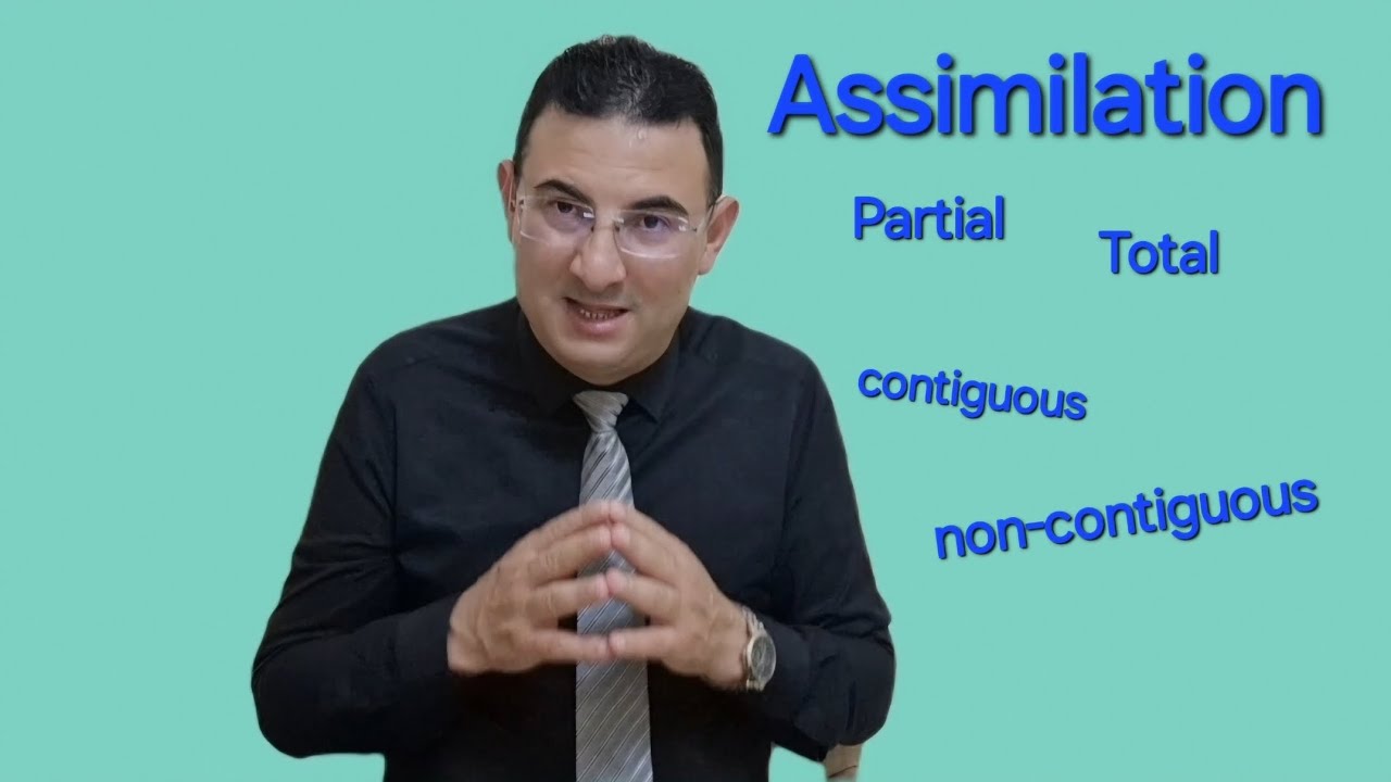 Assimilation processes (total/partial; contiguous/non-contiguous+The ...