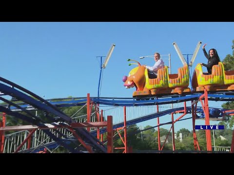 Around Town - Sonny Acres Farm