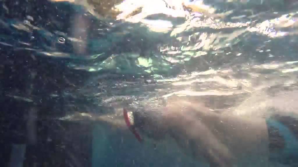 2014 05 22 James Front 6 - YouTube
