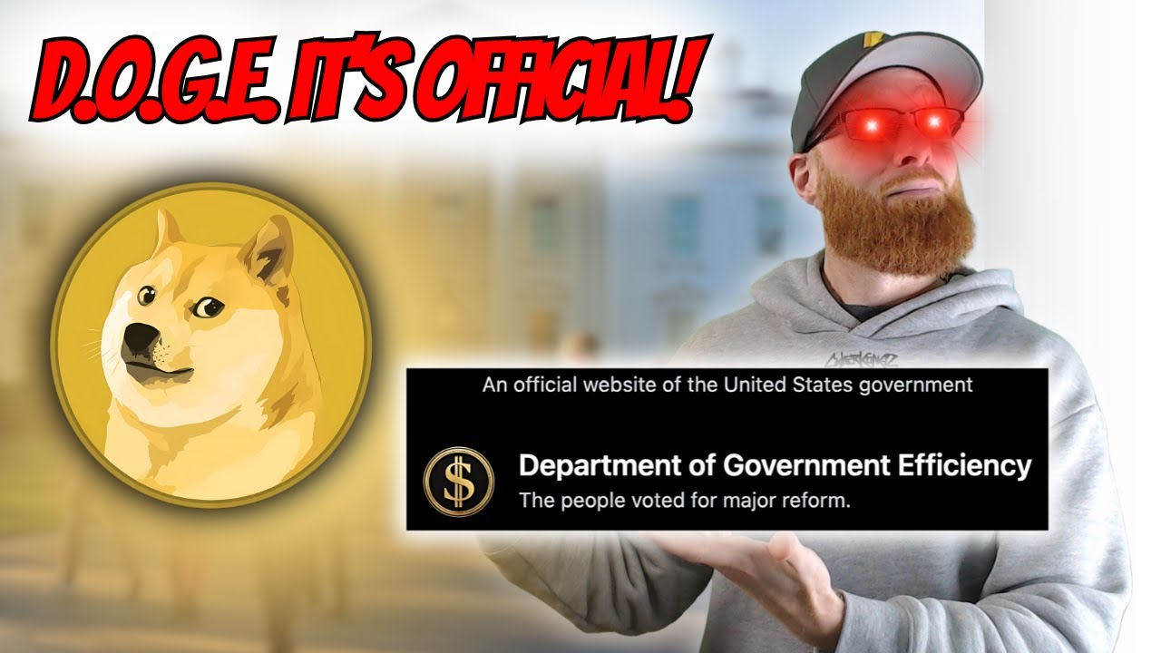 DOGE is Officially born. Department of Government Efficiency logo sends ...