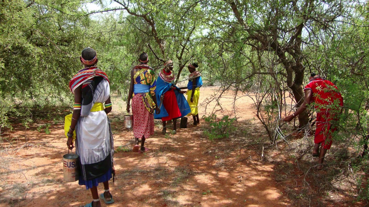 Arbor Oils Of Africa - YouTube