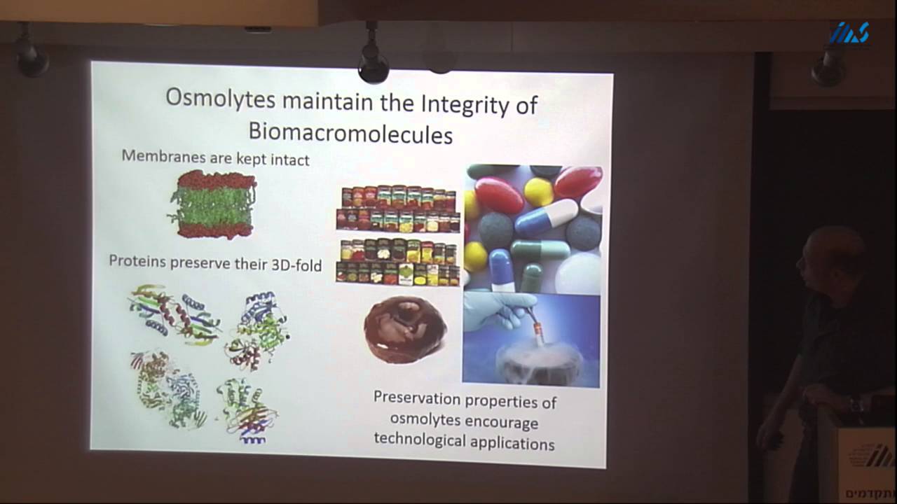 Daniel Harries (HUJI) How Protective Osmolytes Stabilize Biological ...