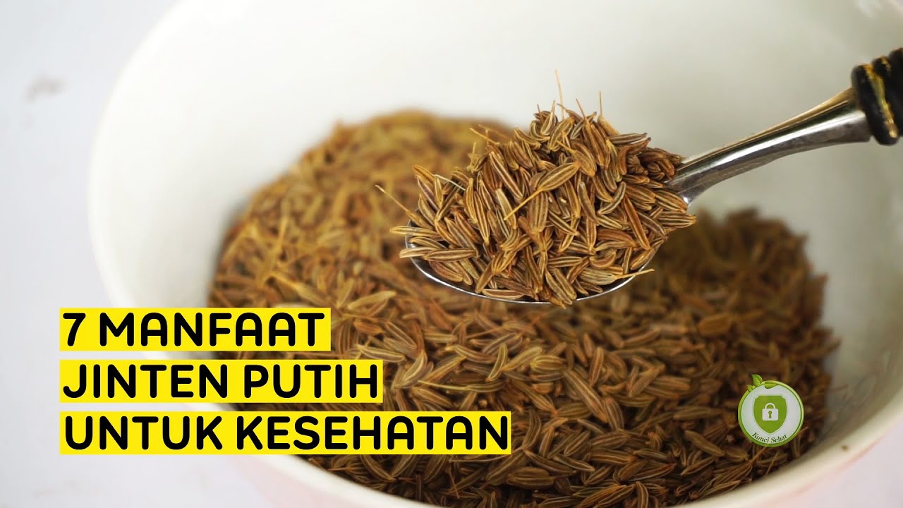 Inilah 7 manfaat jinten putih untuk kesehatan - YouTube
