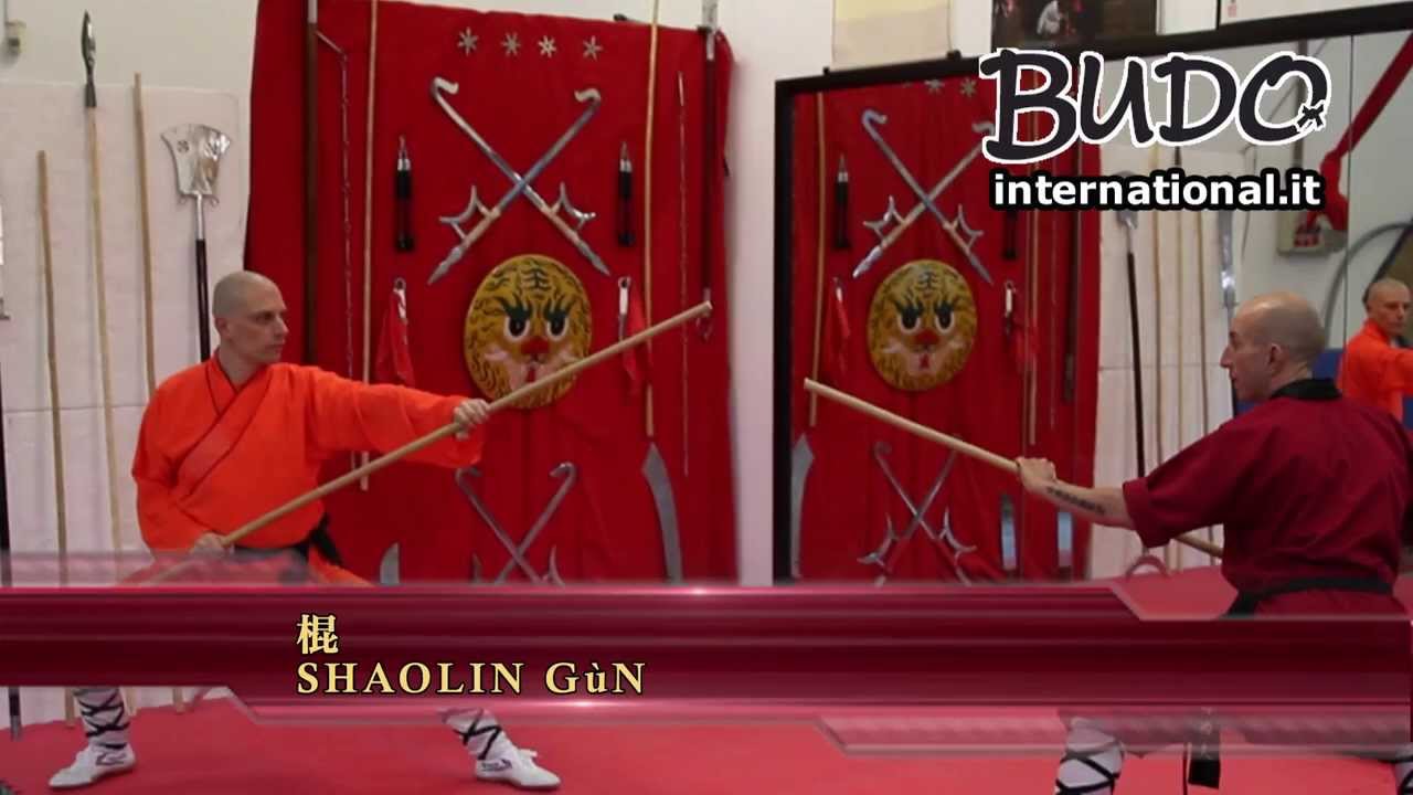 Shaolin: Tecniche spiegate da Shi Heng Chan (Shaolin Training ...