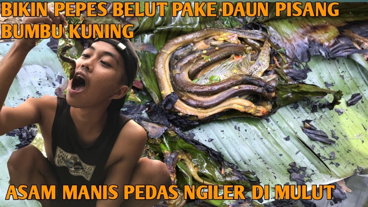 OLAHAN PEPES BELUT DAUN PISANG HASIL TANGKAPAN DARI ALAM‼️#belut #makan ...