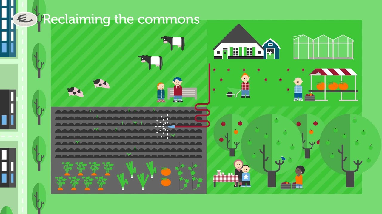 Urban agriculture business models - YouTube