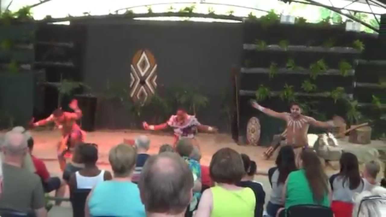 Aboriginal Performance - YouTube