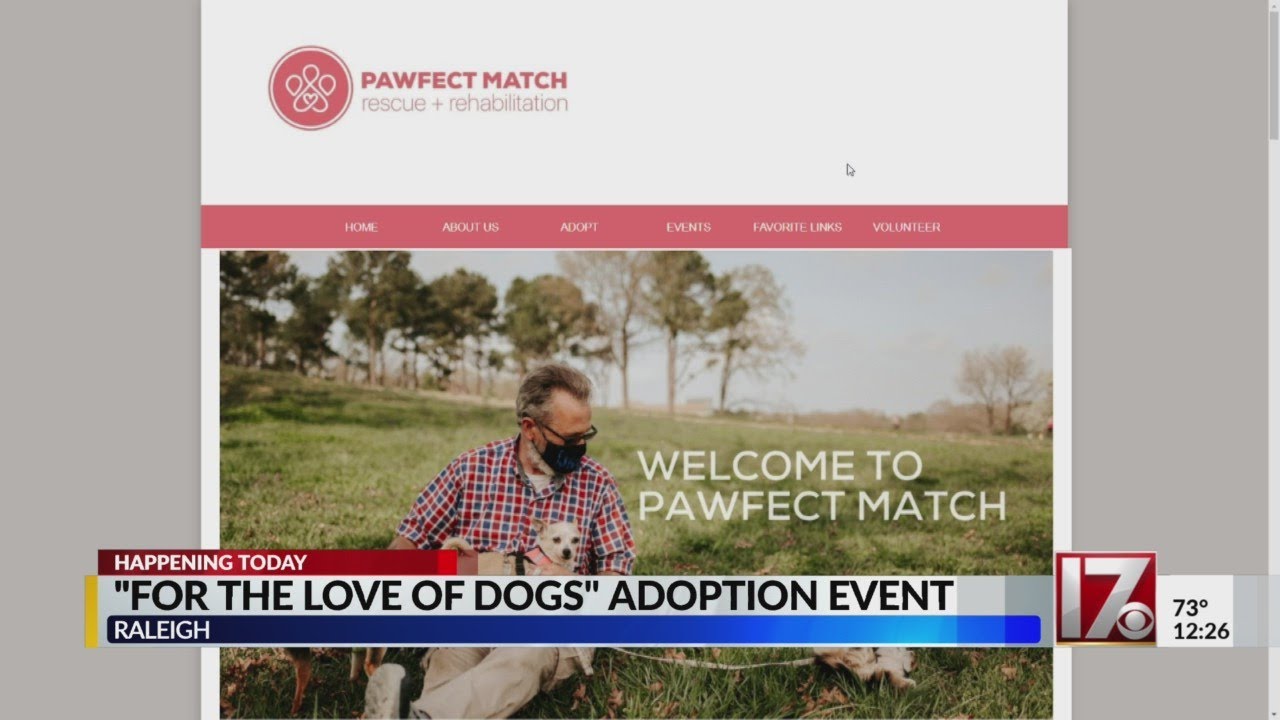 Pawfect Match's 'For the Love of Dogs' adoption event being held ...