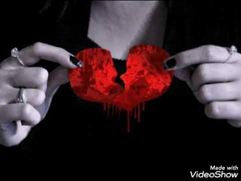 Whatsapp üçün qısa video