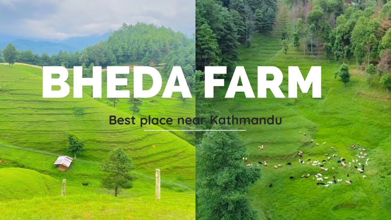 MARKHU-BHEDA FARM DURING MONSOON | CHITLANG | UNBELIEVABLE BEAUTY - YouTube