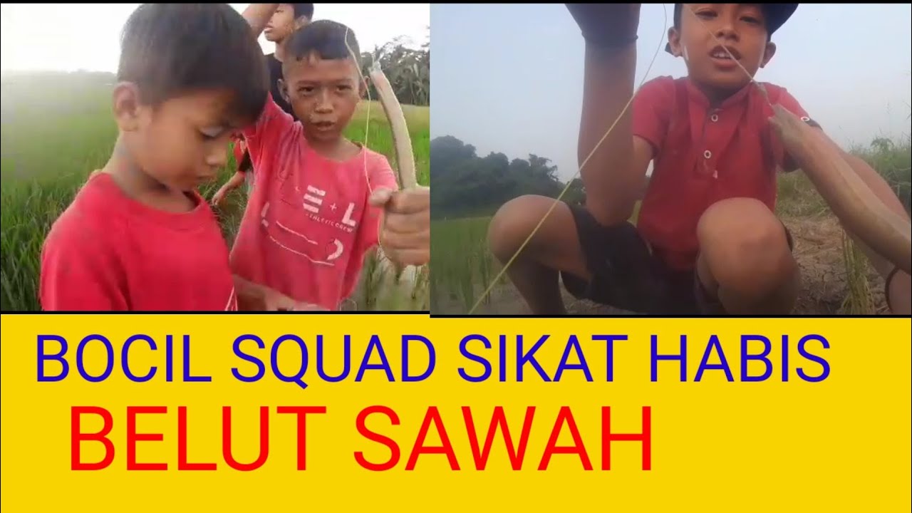 BOCIL SQUAD,,SIKAT HABIS BELUT SAWAH @babon soang #eelfishing - YouTube
