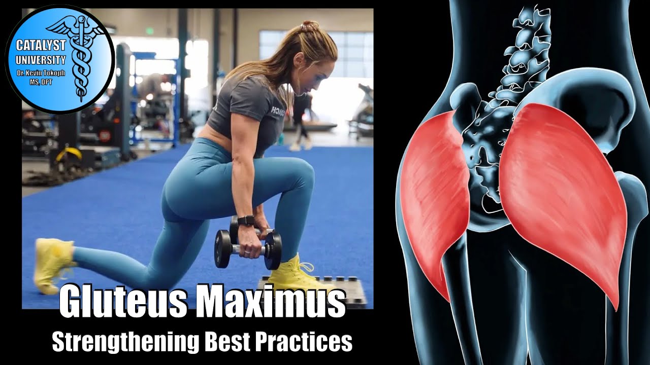 Gluteus Maximus [High-Level] | Strengthening Best Practices - YouTube
