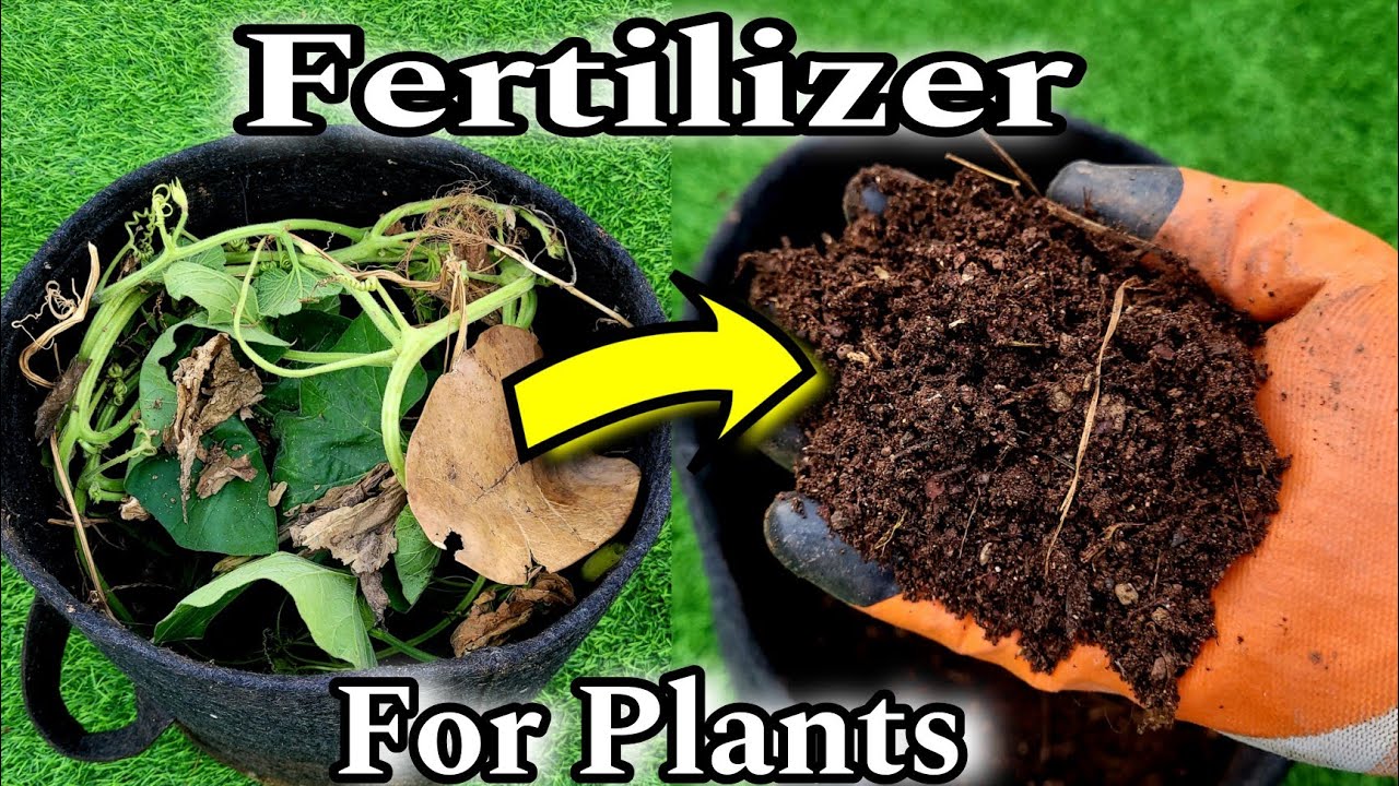 100% Free Fertilizer for plants, How to make Compost at home - YouTube