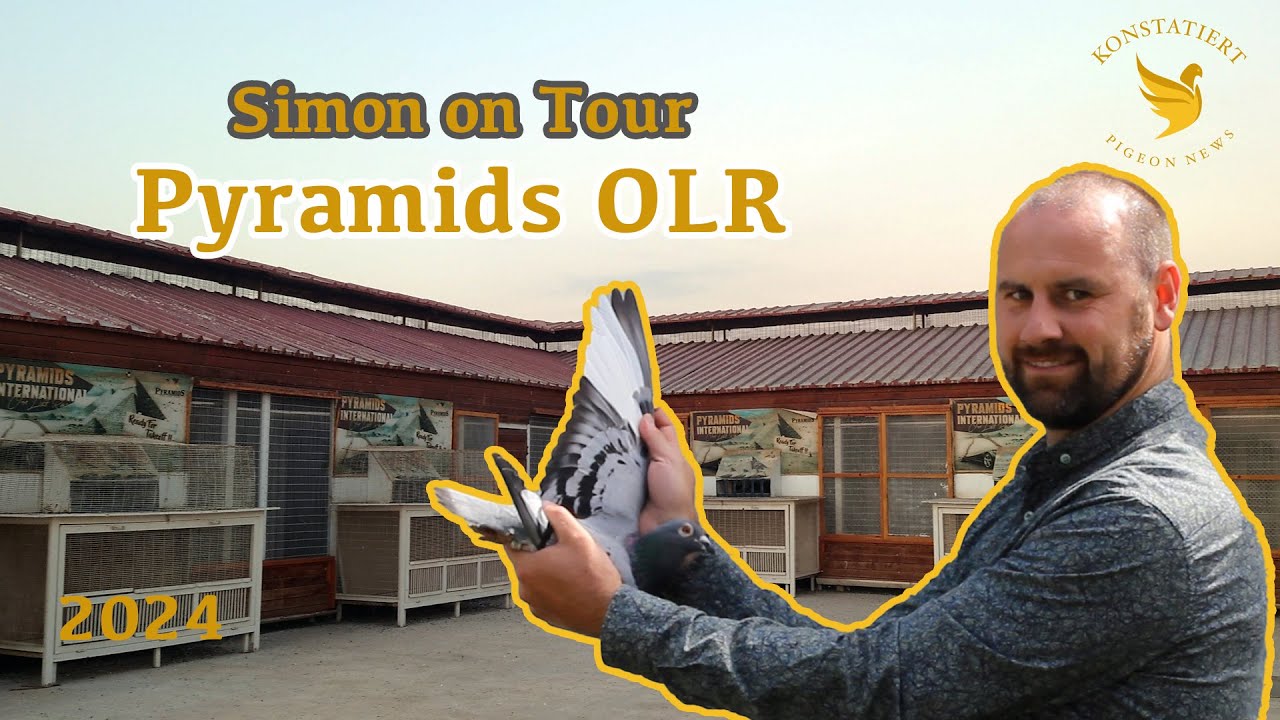 Pyramids One Loft Race: Simon erkundet die beeindruckende Taubenanlage ...