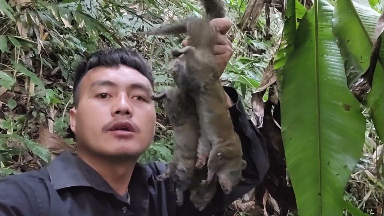 Yos Nas yos nquab noj txiv.cev ntoo nawb coob Tiag Tiag - YouTube