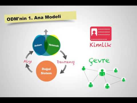 Optimum Denge Modeli