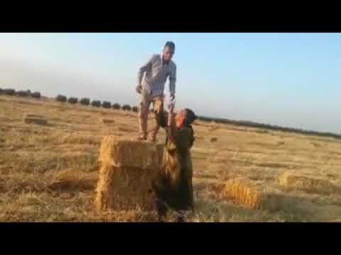 Dahk 2018 la3roubiya khaatttaar