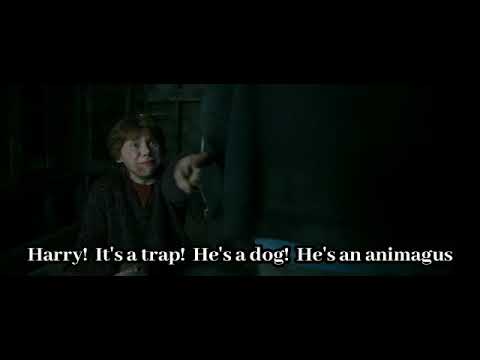 What was was Sirius thinking? - YouTube