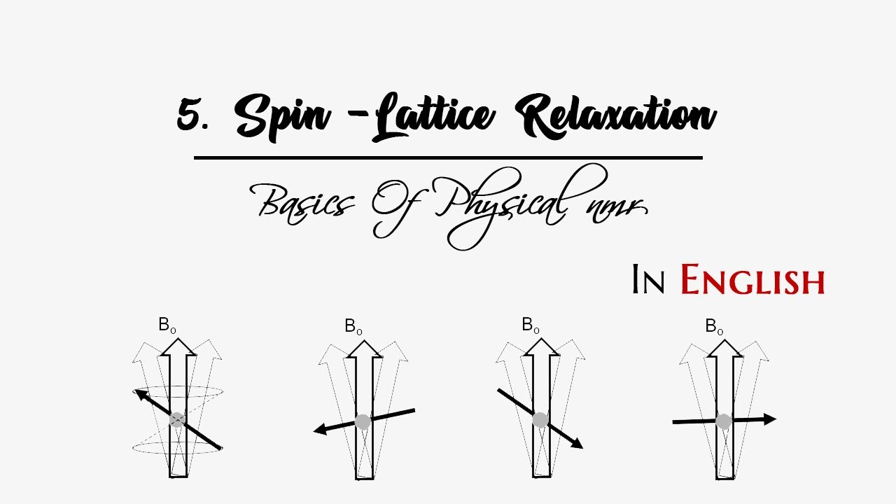 5. Spin Lattice Relaxation | Basics of Physical NMR | SSN - YouTube