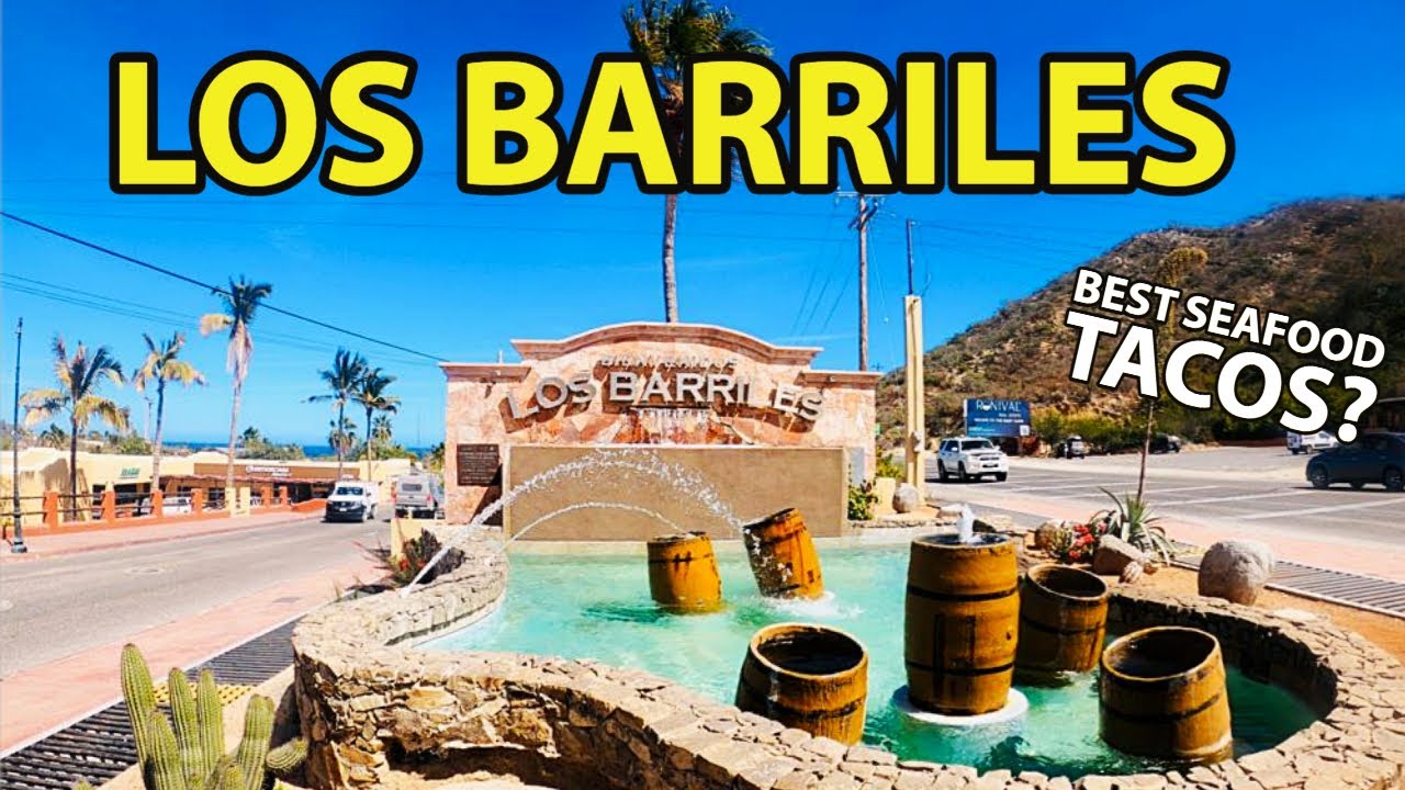 WINTER SEASON in LOS BARRILES (Best SEAFOOD TACOS in the Baja?) [4K ...