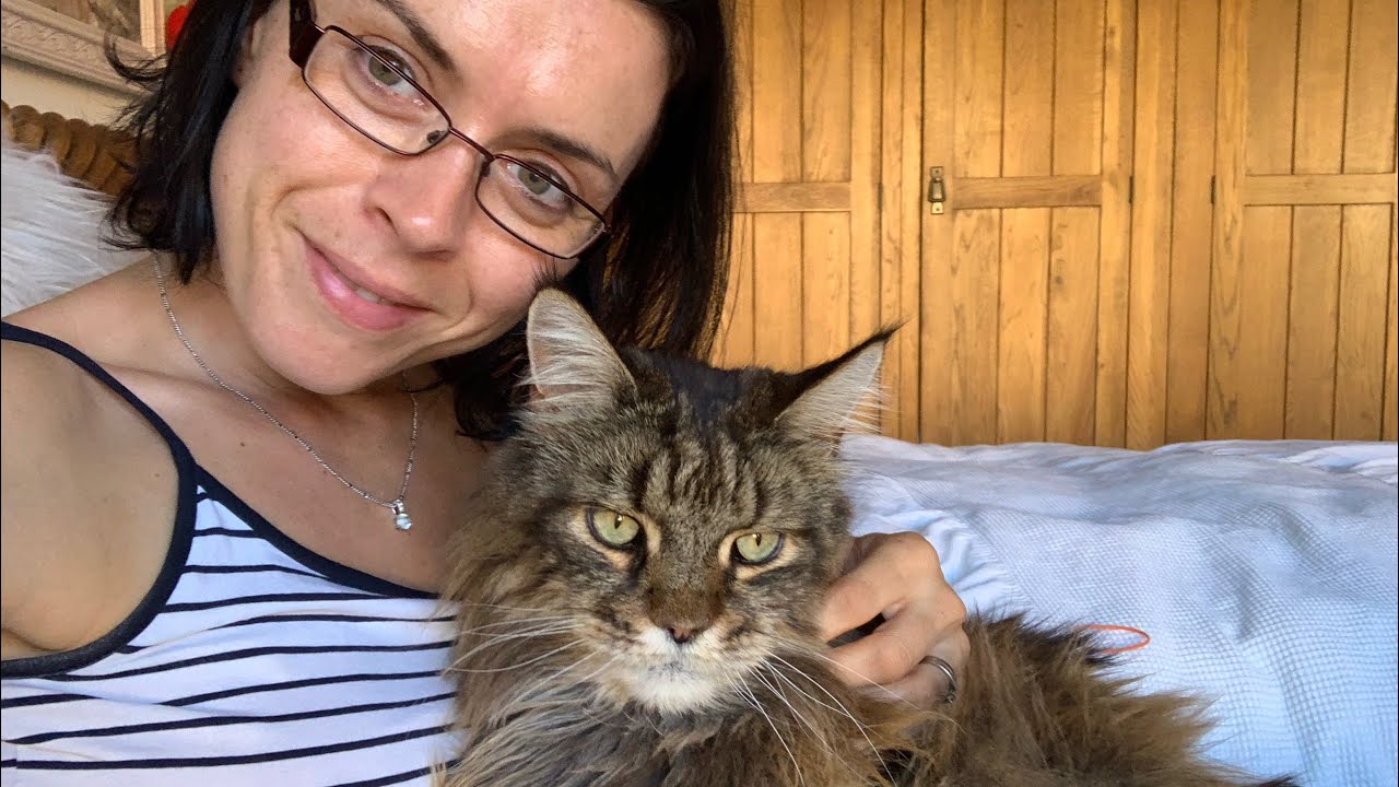 Reality Of Working From Home With A Cat! - YouTube