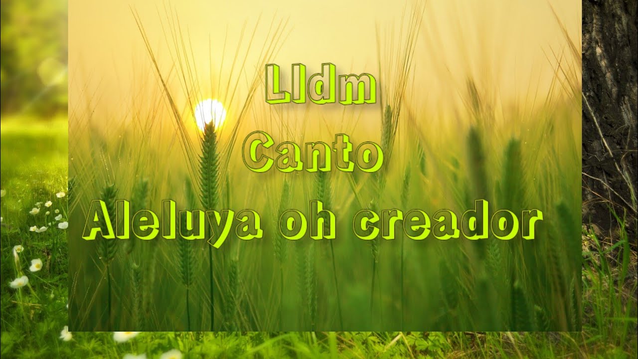 lldm canto Aleluya oh creador - YouTube