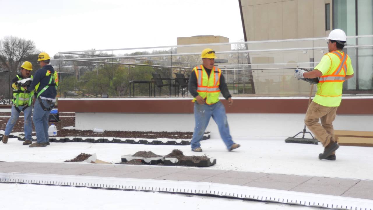 Landscape architect talks about Capitol Federal Hall's green roof - YouTube