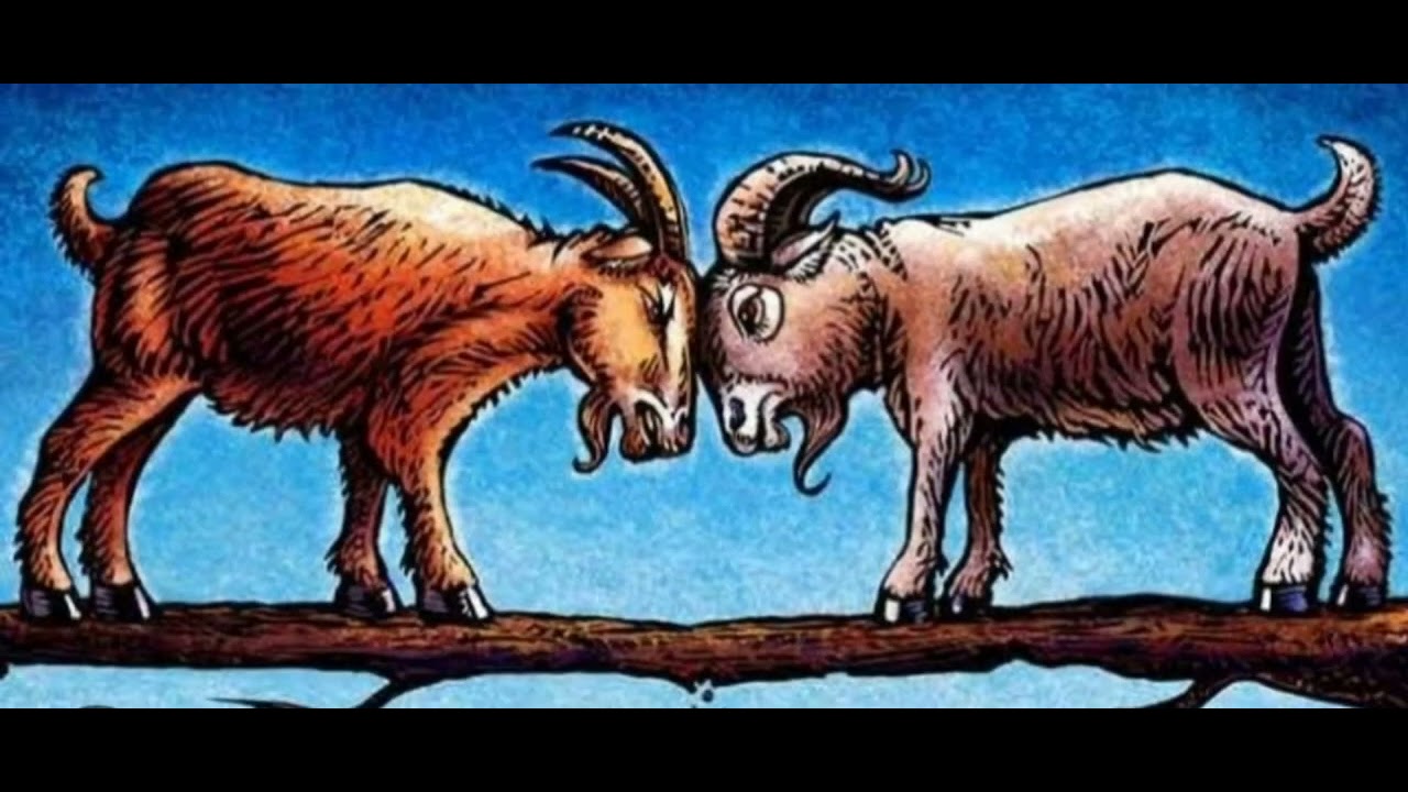 two foolish goat #moralstories #story #lovestory #quotes #summary # ...