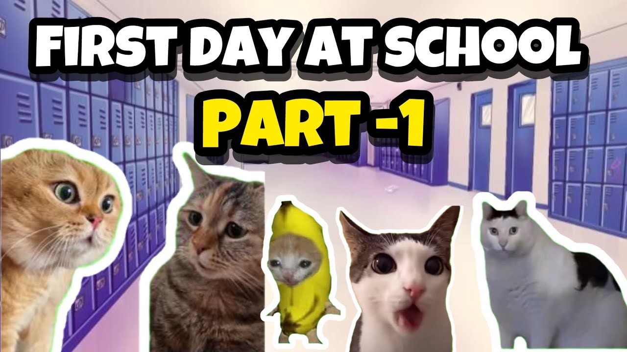 CAT MEMES: THE FIRST DAY OF SCHOOL - YouTube
