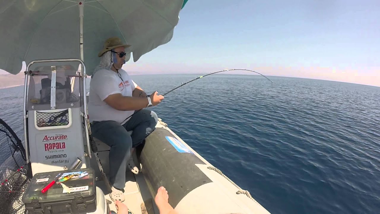 στο ιντζικου πανε ολα!!! ψαρεμα ιντζικου - inchiku fishing - YouTube