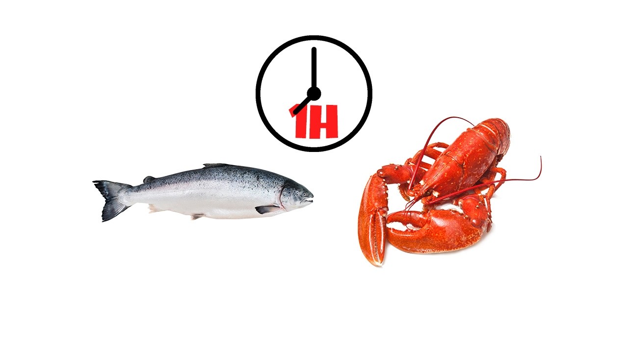 tańcowała ryba z rakiem 1h zapętlone - YouTube Music