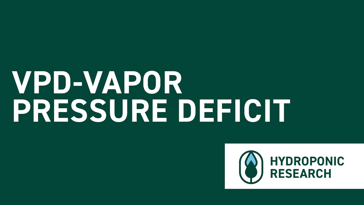 Grow Notes 004: VPD - Vapor Pressure Deficit - YouTube