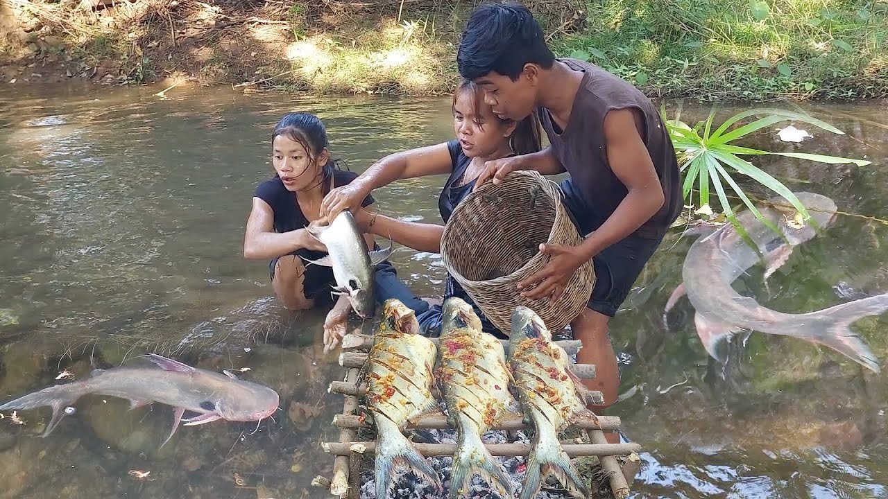 Survival in rainforest, Catch fish in the river for survival food, Fish ...