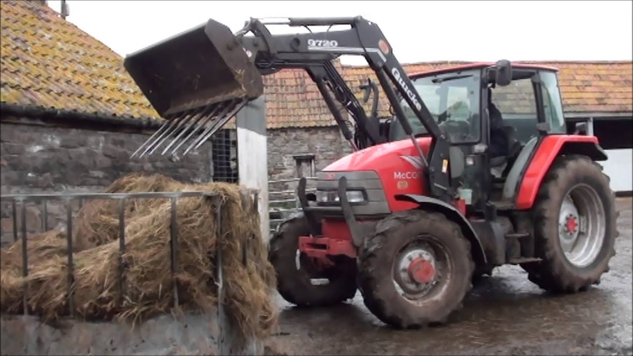 Feeding round bale silage to the dairy cows - YouTube