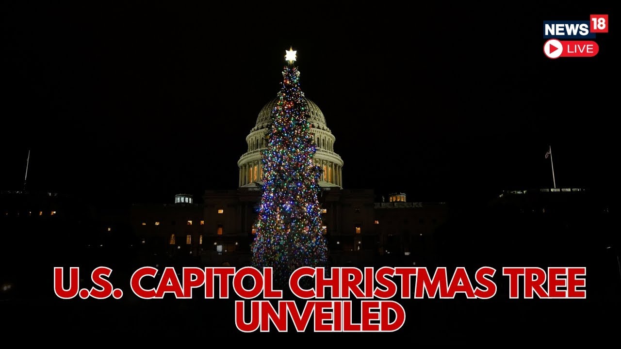 US Christmas 2025 | Christmas tree from the Nevada National Forest ...