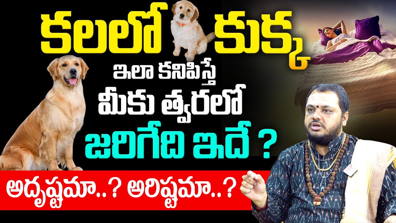 కలలో కుక్క కనిపిస్తే | Kalalo Kukka (Dog) Kanipiste | What Does It Mean ...