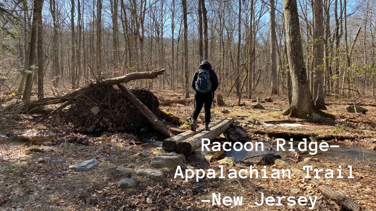 Hiking Racoon Ridge vía Appalachian Trail - New Jersey - First Day of ...