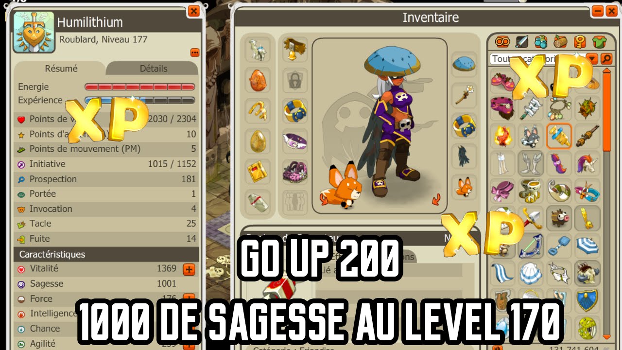 [Dofus] Humility - Go Up 200 - 1000 de Sagesse au Level 170 ! - YouTube