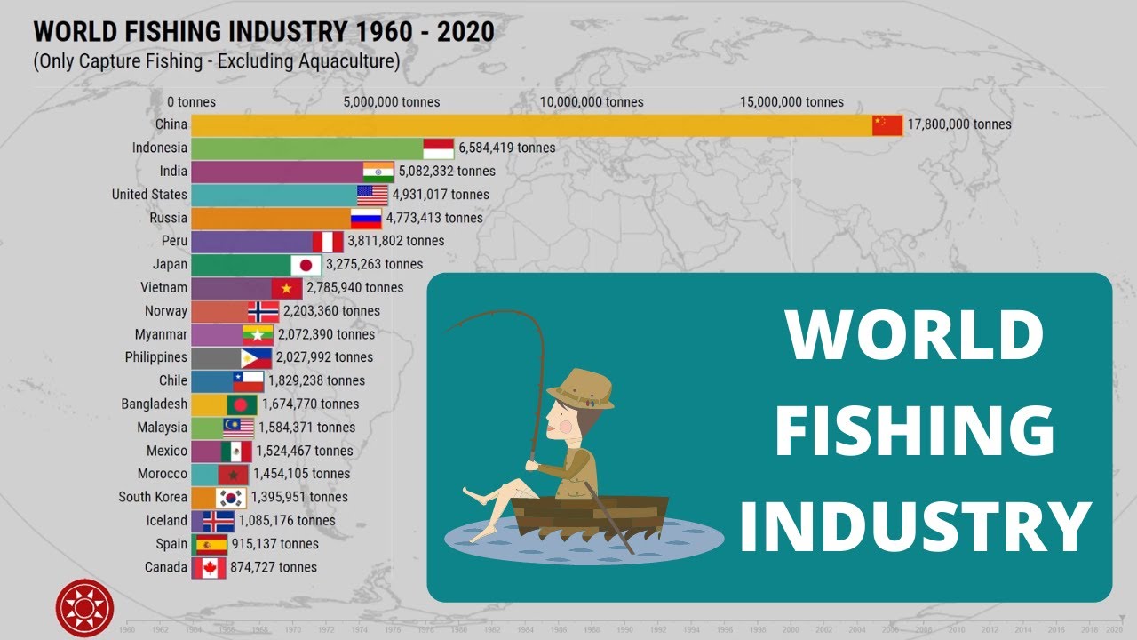 World Fishing Industry 1960 to 2020 - YouTube