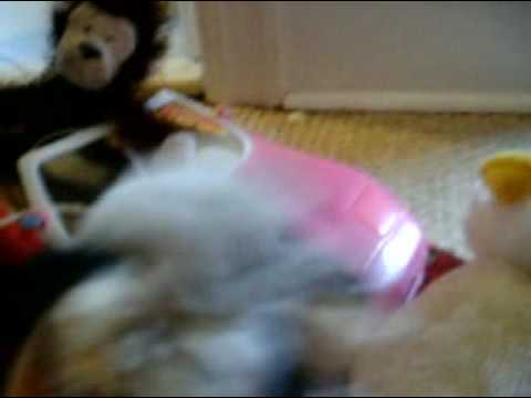 Webkinz New Car - YouTube