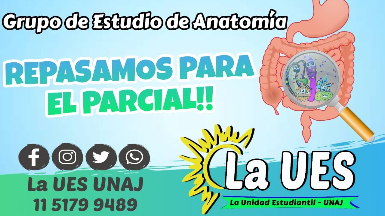 CLASE DE REPASO DE ANATOMÍA LA UES - YouTube