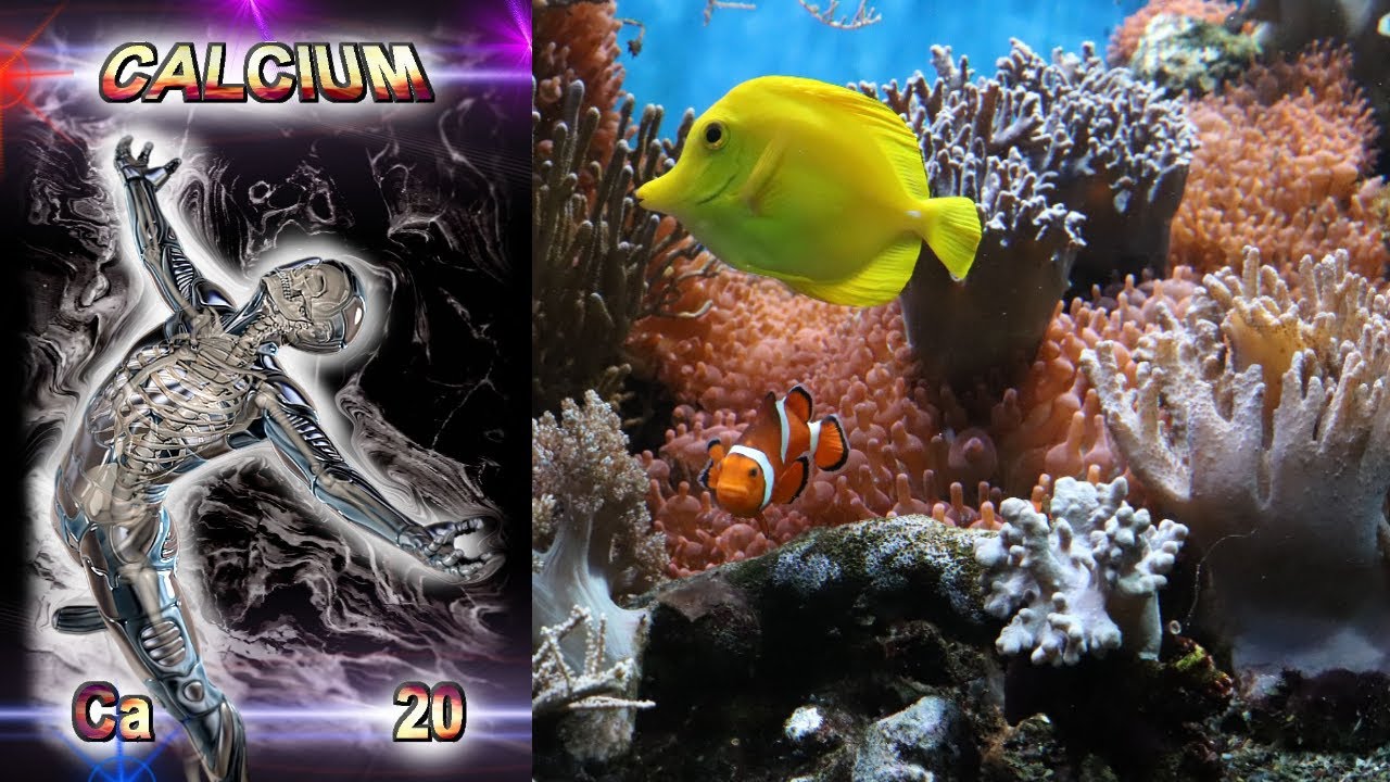 Elements and superheroes | lesson 10: Calcium | Fun chemistry lessons ...
