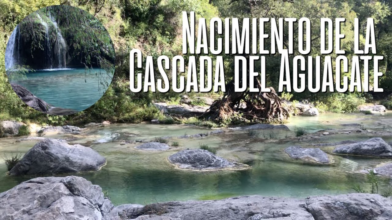 🌊 Lo que NO te dicen del MANANTIAL del AGUACATE 🥑 PUEBLA 🏕️ | JPW - YouTube