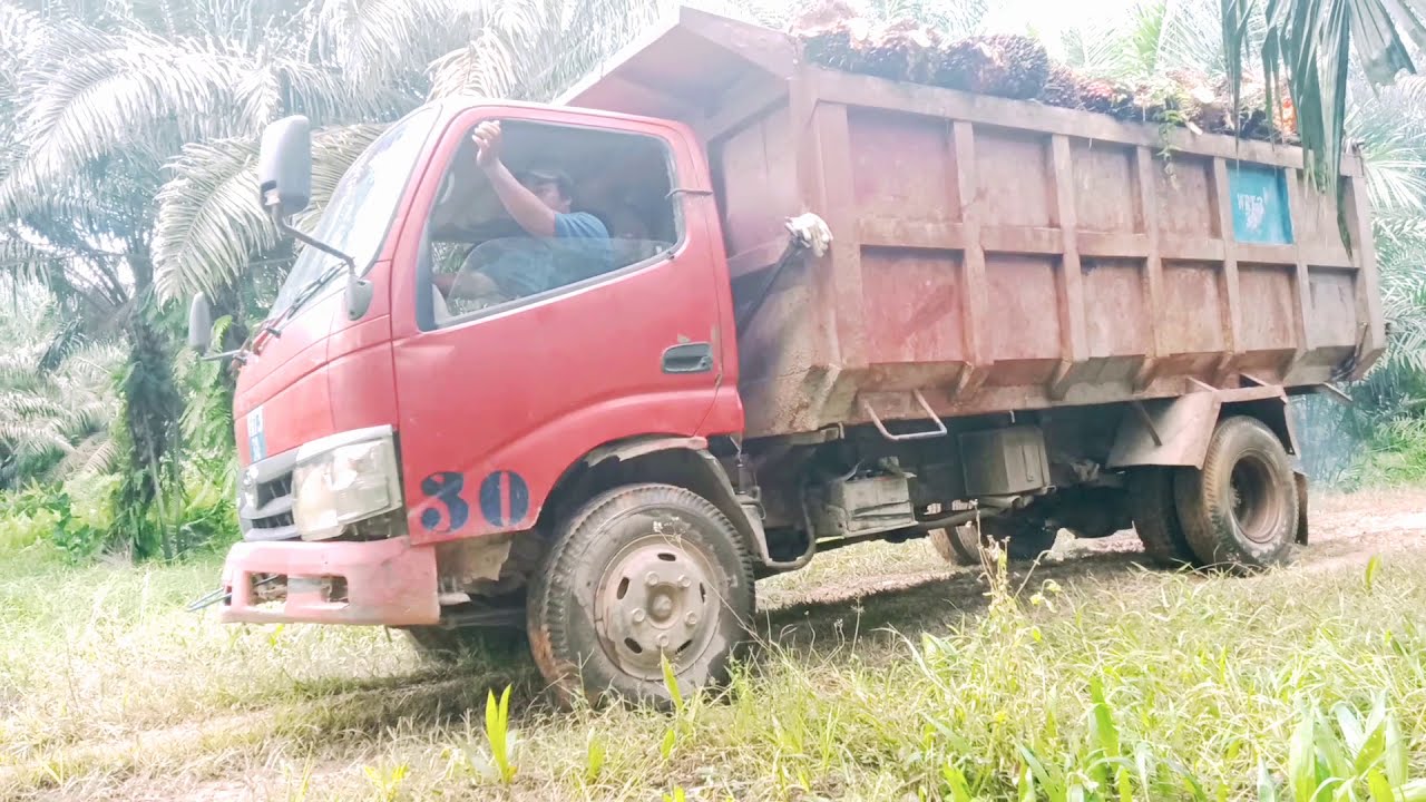 MOBIL TRUCK SAWIT NEKAT LEWATI JALAN EKSTRIM// PERKEBUNAN KELAPA SAWIT ...