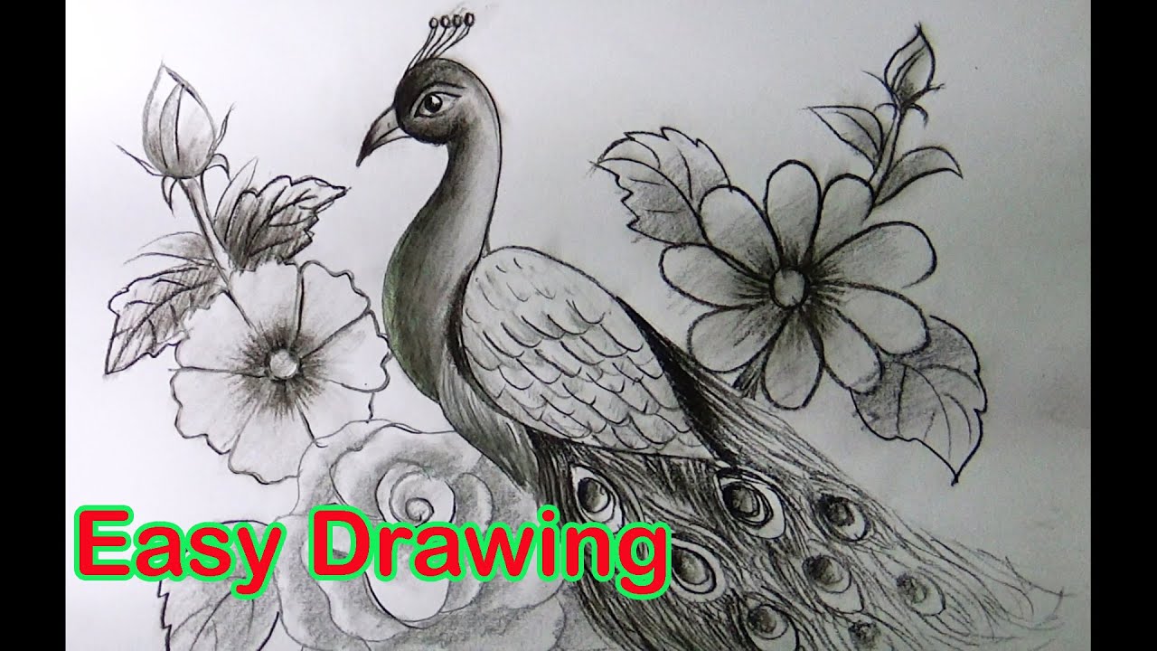 Peacock Drawing Step By step || How to draw a Peacock in flower's ...