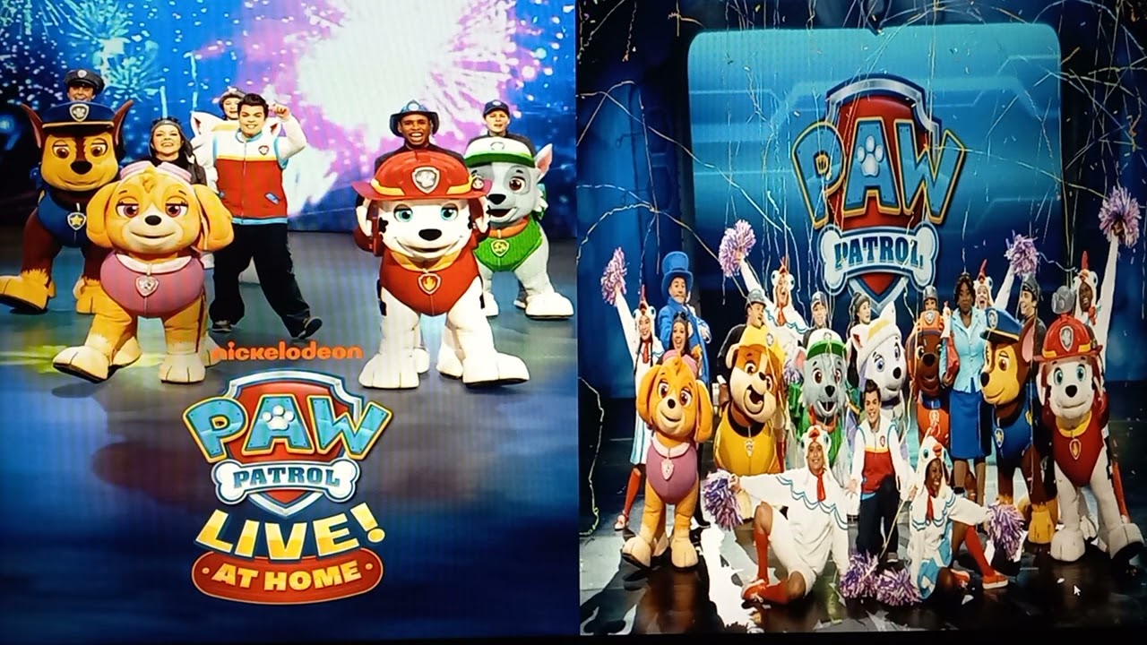 PAW Patrol Live! At Home: Ruff Ruff Rescue - YouTube