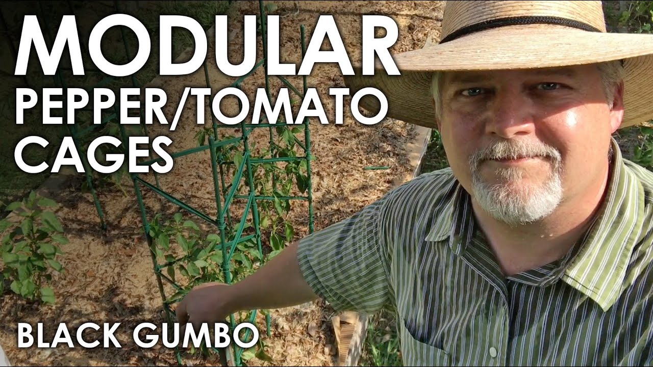 Modular Tomato and Pepper Cage || Black Gumbo - YouTube
