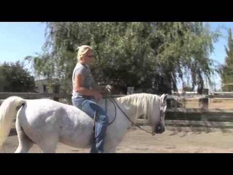 Bareback Riding - Horseback 101 - YouTube