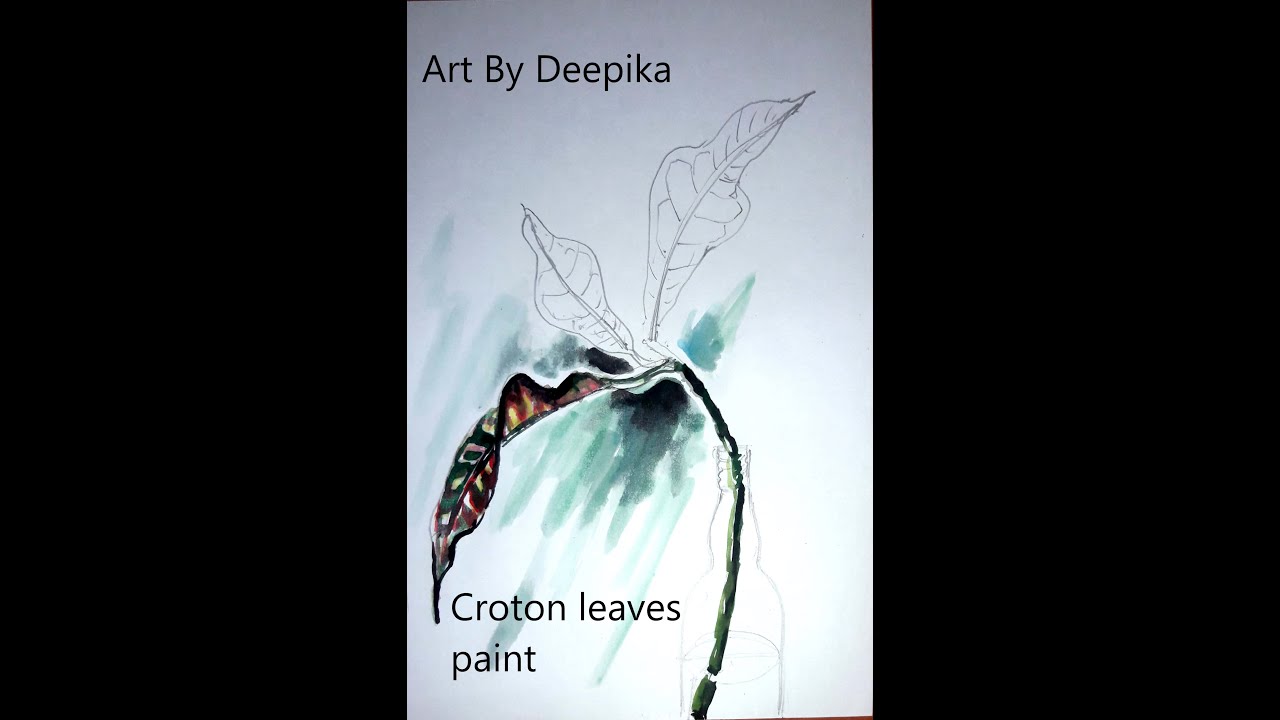 How to draw croton leaves step by step(object drawing) - YouTube